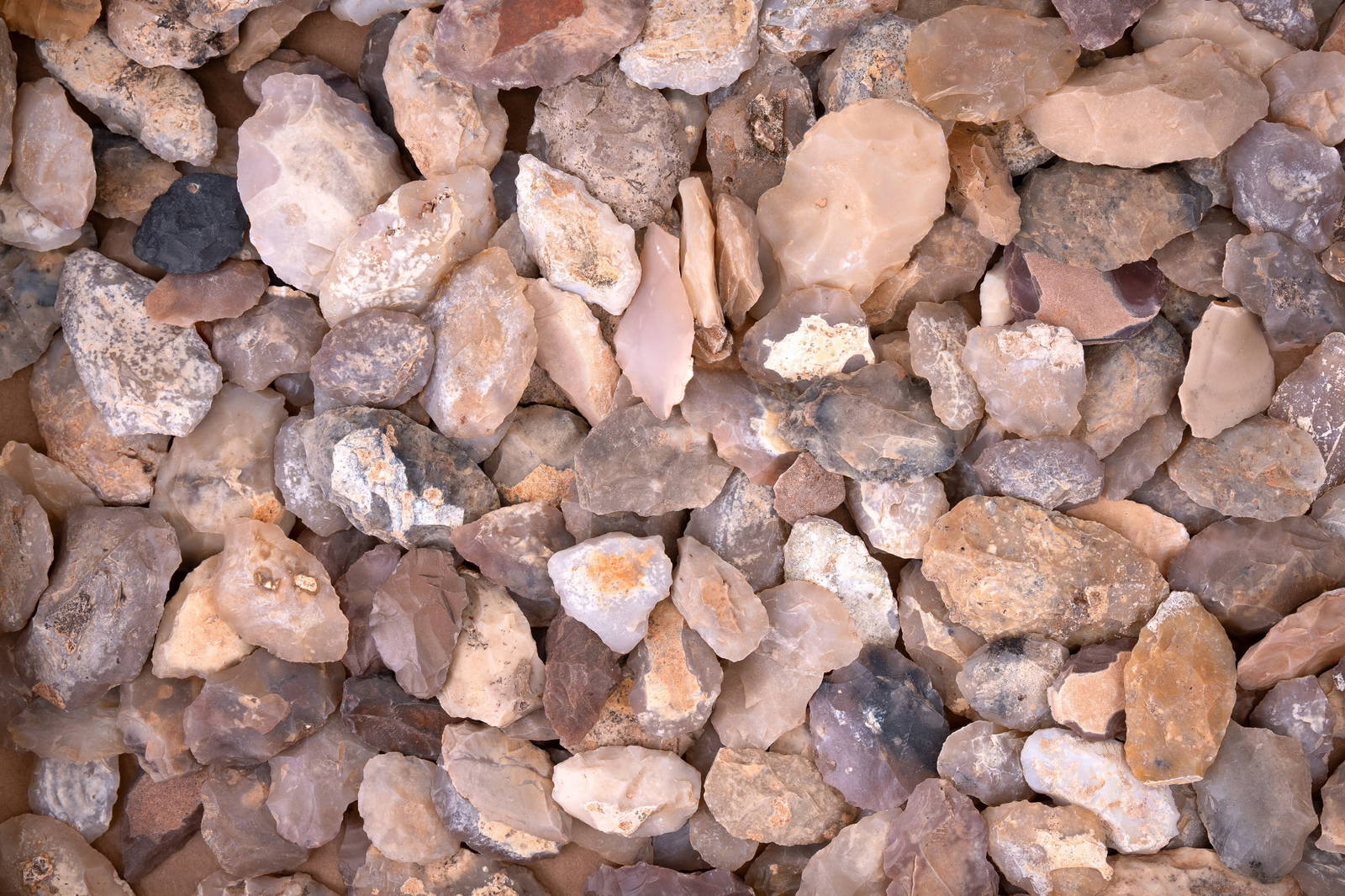 Aterian & Mesolithic Scrapers Auction