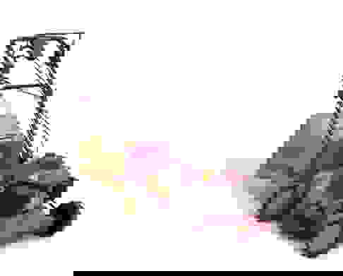 Craftsman Rear Drive Lawn Mower Auction