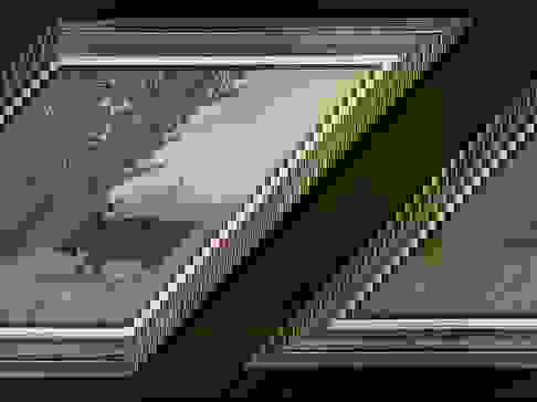 George Wise Bull Moose Oil On Canvas Painting Auction