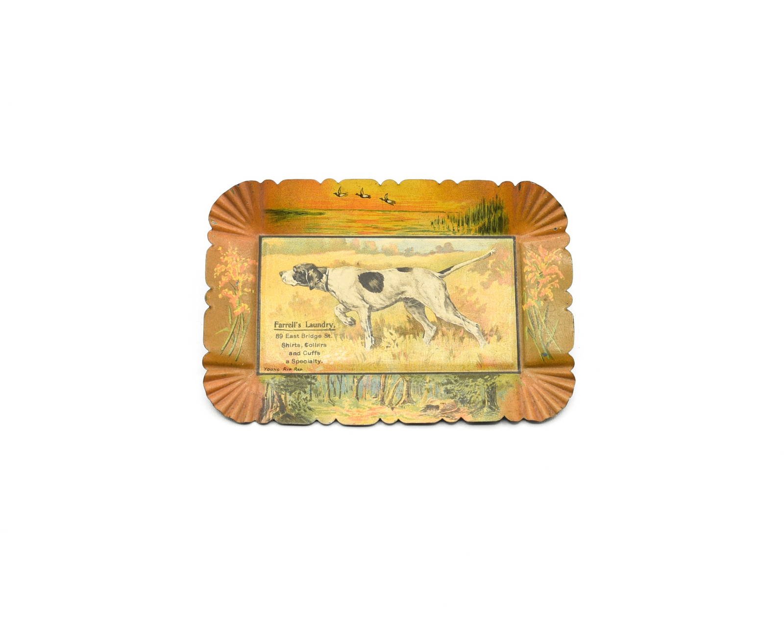 Pointer Dog Tip Tray Advertising Farrell's Laundry Auction