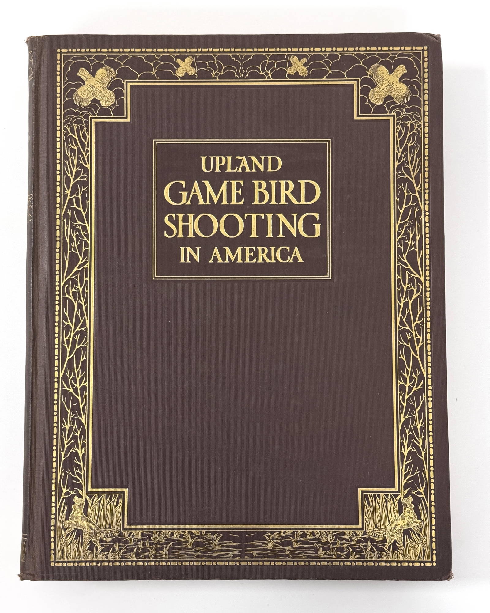 Upland Game Bird Shooting - Derrydale Auction