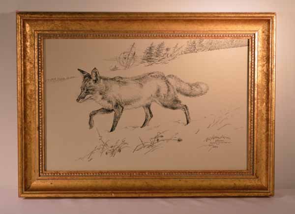 Paul Anthony Lee Drawing "Beautiful Lone Red Fox" - May 30, 2014 ...
