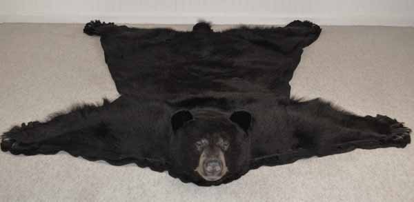 Black Bear Rug Mount