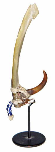 Solomon Islands Fish Hook