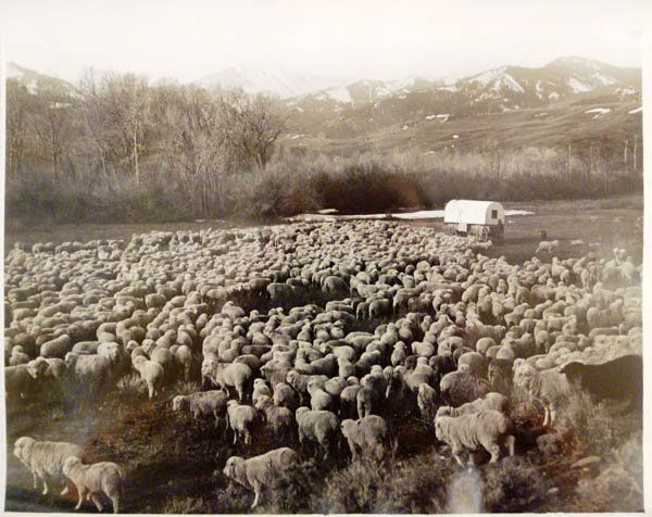 436: Charles J Belden Photographs