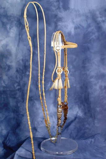 Rawhide Braided Bridle, Union Shield Bit