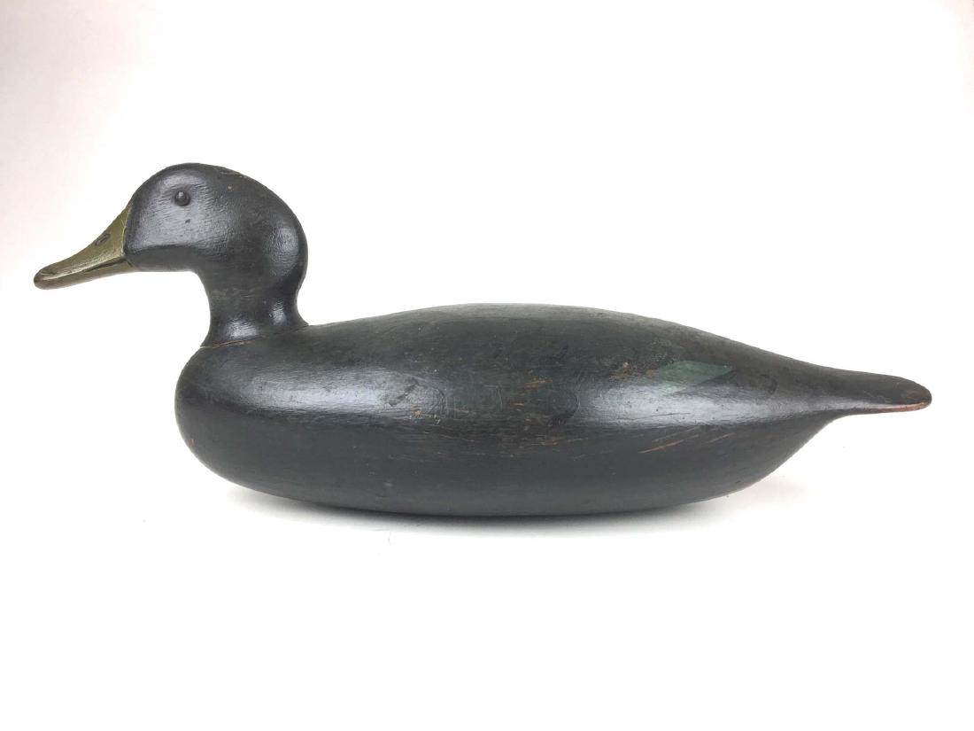 Stevens factory black duck decoy.