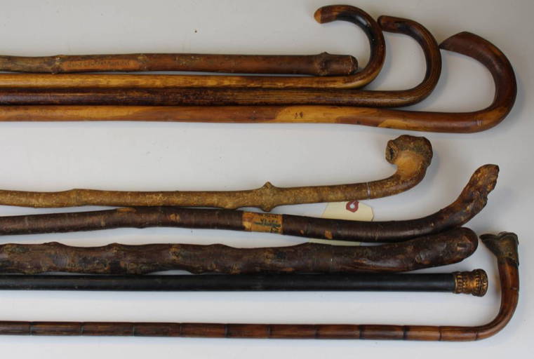 Lot Of 19th And Early 20th C Folk Canes