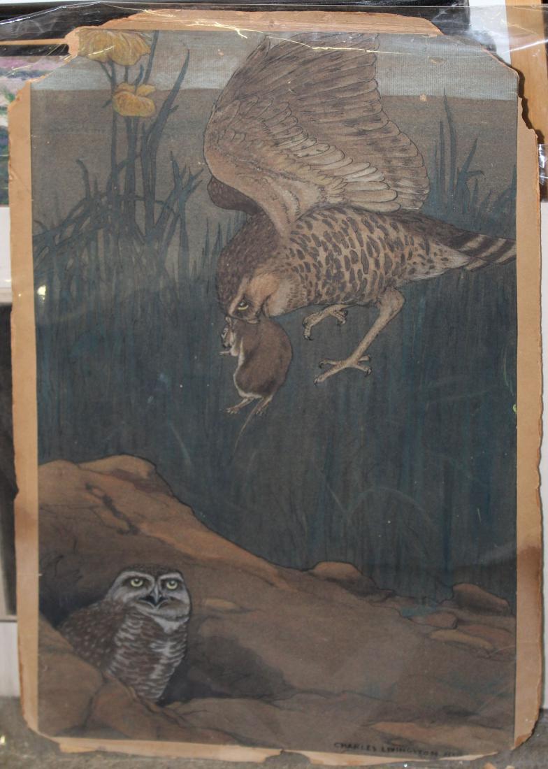 Charles Livingston Bull (AM 1874-1932) - Jan 26, 2019 | Duane Merrill ...