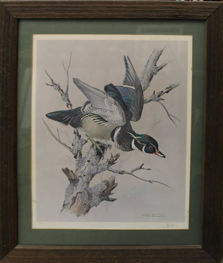 Basil Ede "wood Duck"
