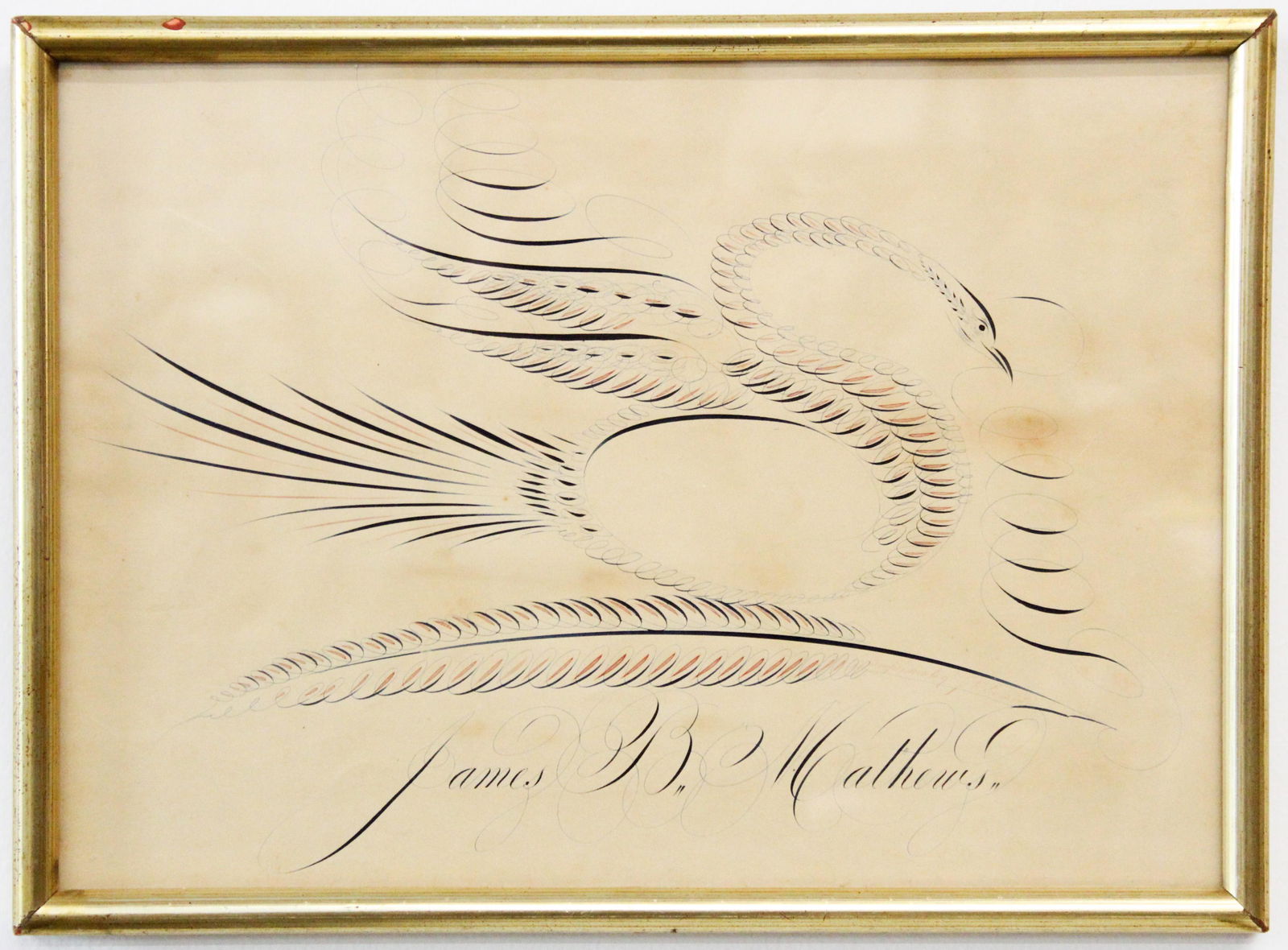 Calligraphy Drawing of a Bird and Feather - May 14, 2021 | Merrill's ...