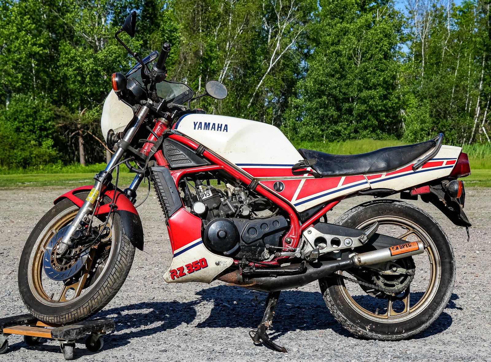 1984 Yamaha Rz 350 Ypvs