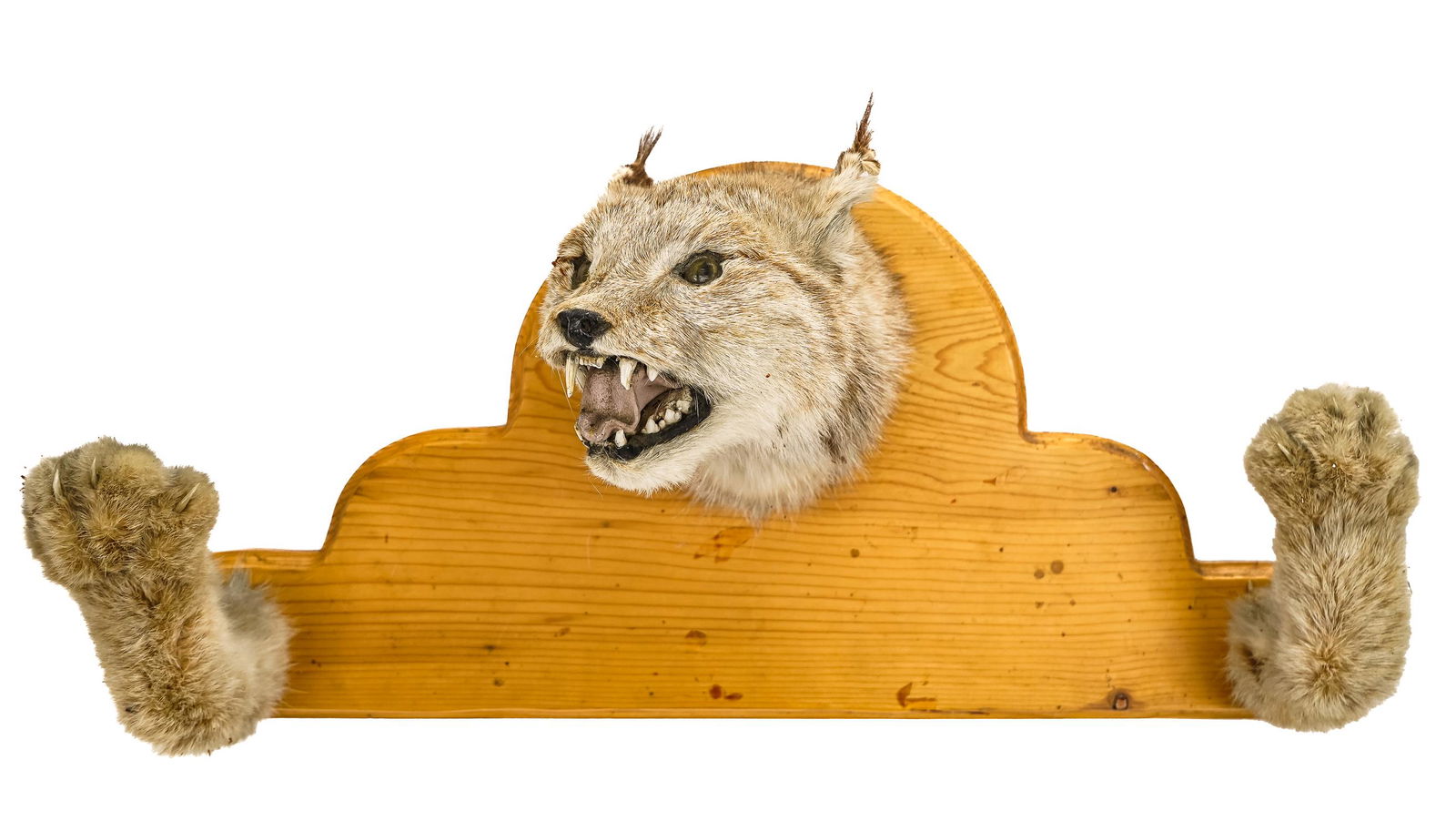 Northern Lynx Gun Rack Auction