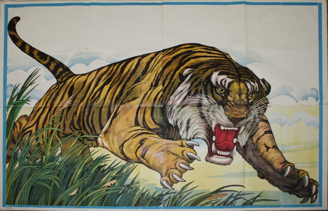 Tiger, Shown Leaping Through Tall Grass With Background