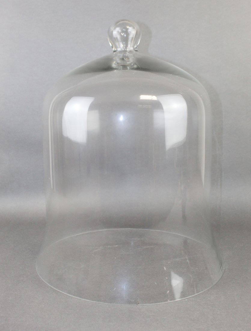 Large Glass Bell Cloche Auction