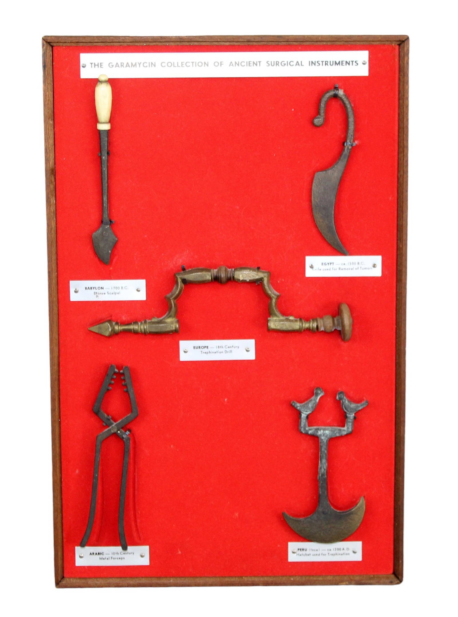 "the Garamycin Collection Of Ancient Surgical Instruments" Display ...