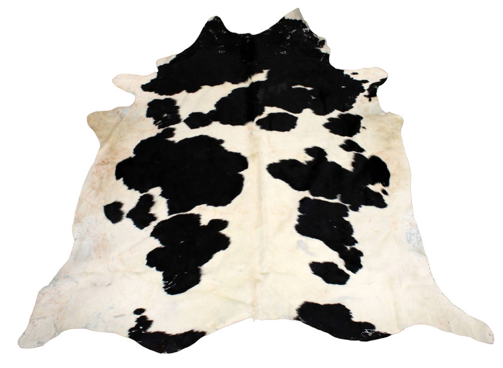 Holstein Cow Hide Rug Auction