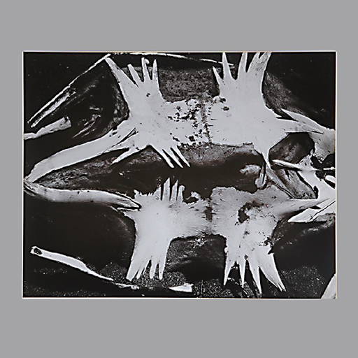 Brett Weston "turtle Skeleton 1964" Silver Gelatin