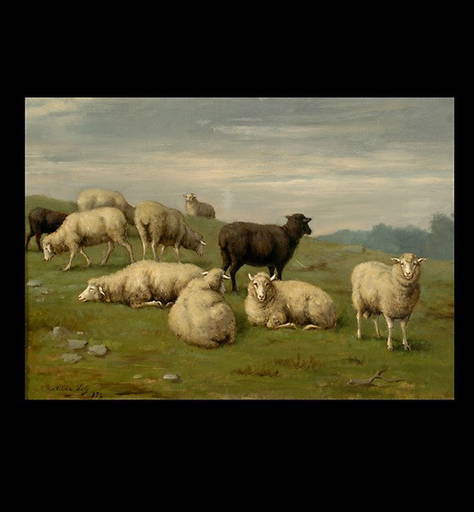 Matilda Lotz Sheep In A Meadow Oil