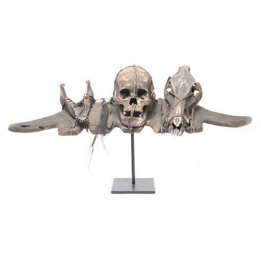 Ifugao Mounted Human And Boar Trophy Skulls.