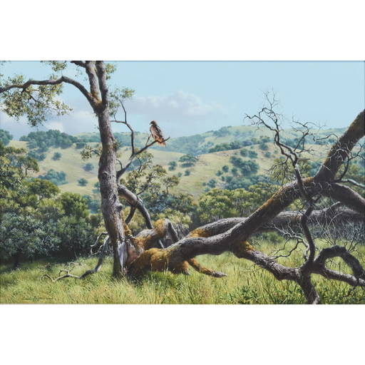 Andrew Denman, Green Valley, Acrylic On Board