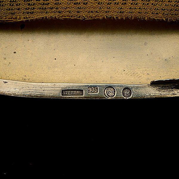 ENAMEL, STERLING SILVER BAT CIGARETTE BOX.