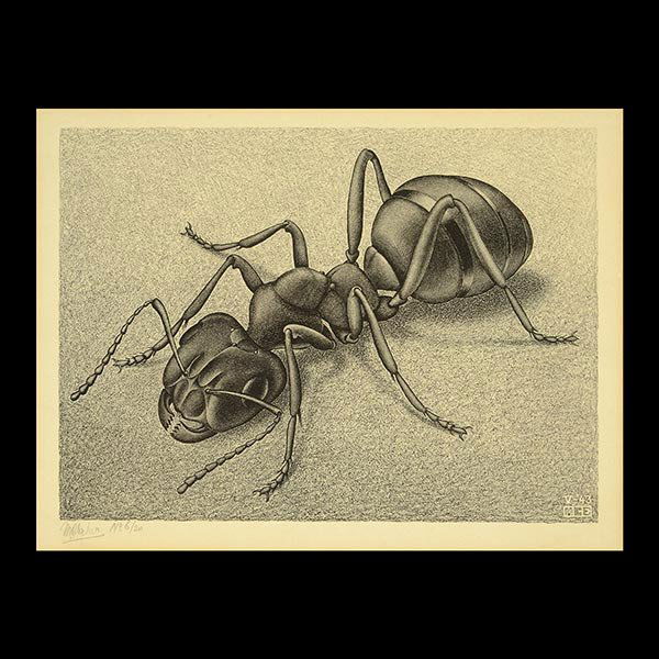 M.C. ESCHER "Ant" Lithograph, DUTCH ART