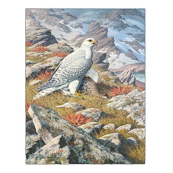 HARRY ADAMSON, American Wildlife Art, Oil