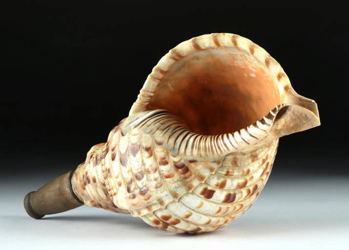 Early 20th C. Japanese Shell Horagai "samurai Horn"