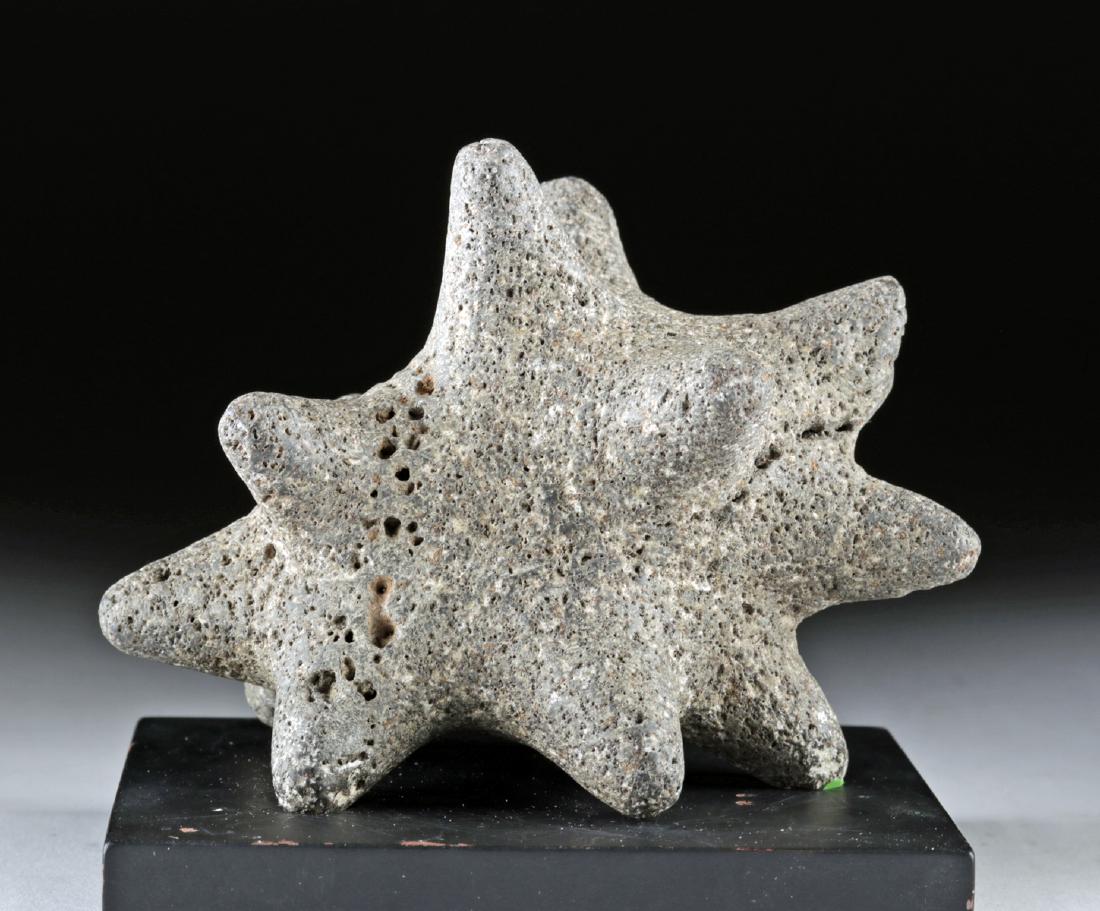 Charrua Indian Lobed Stone Throwing Weapon / Mace Head