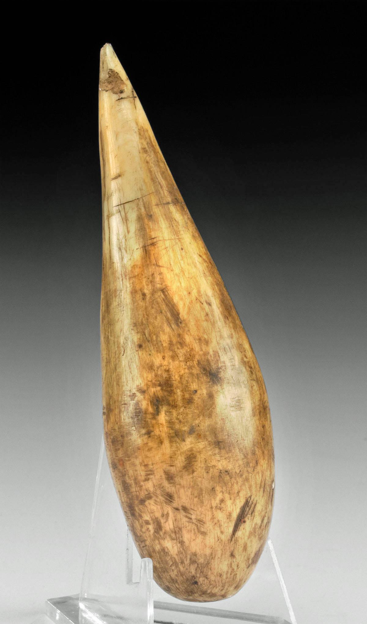 19th C. Inuit Walrus Ivory Pinniped Form Awl | Barnebys
