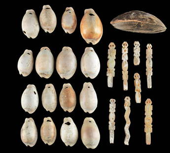 Cowrie Shells