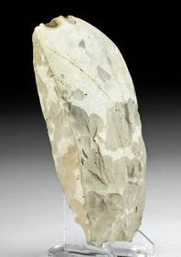 Inca Stone Mace Head w/ Central Hafting Slot - Aug 31, 2020 | Artemis ...