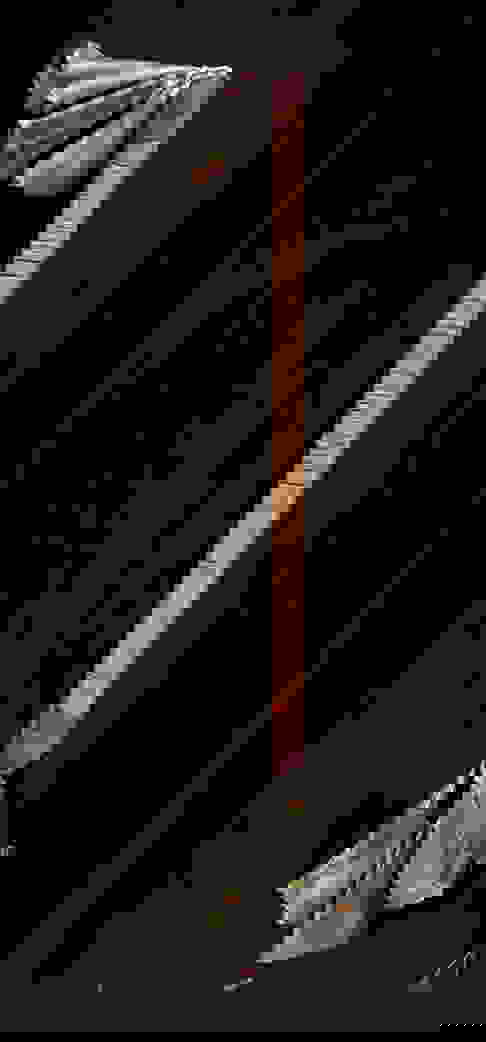 Early Native American Tlingit Dance Rattle W/ Deer Hoofs Auction