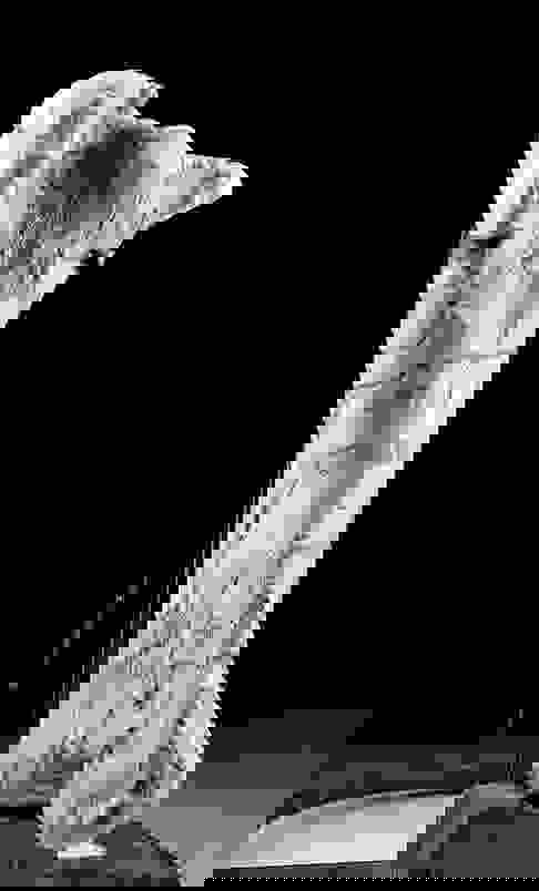 Massive Fossilized Sauropod Dinosaur Leg Bone! Auction