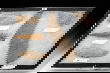 10 Native American Stone Tools