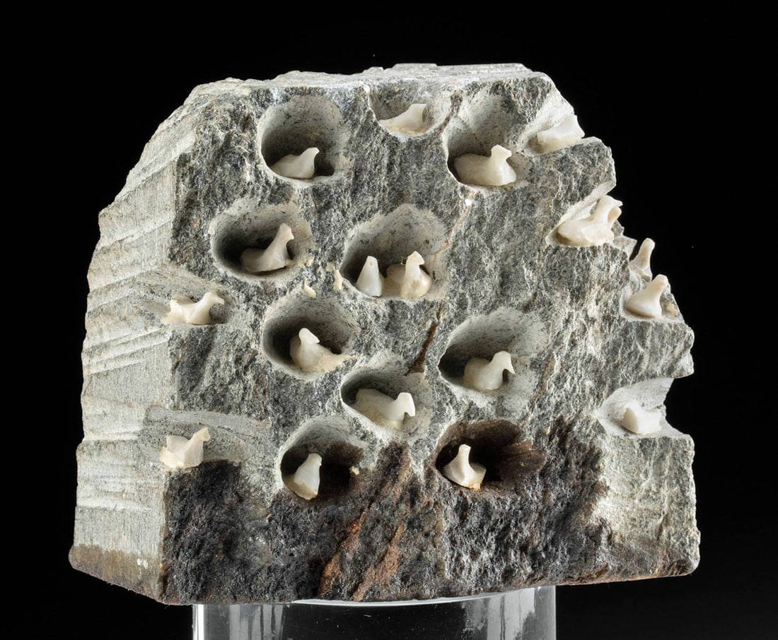 Buy Inuit Stone Cliff Sculpture W/ Walrus Ivory Birds | Artemis Gallery ...