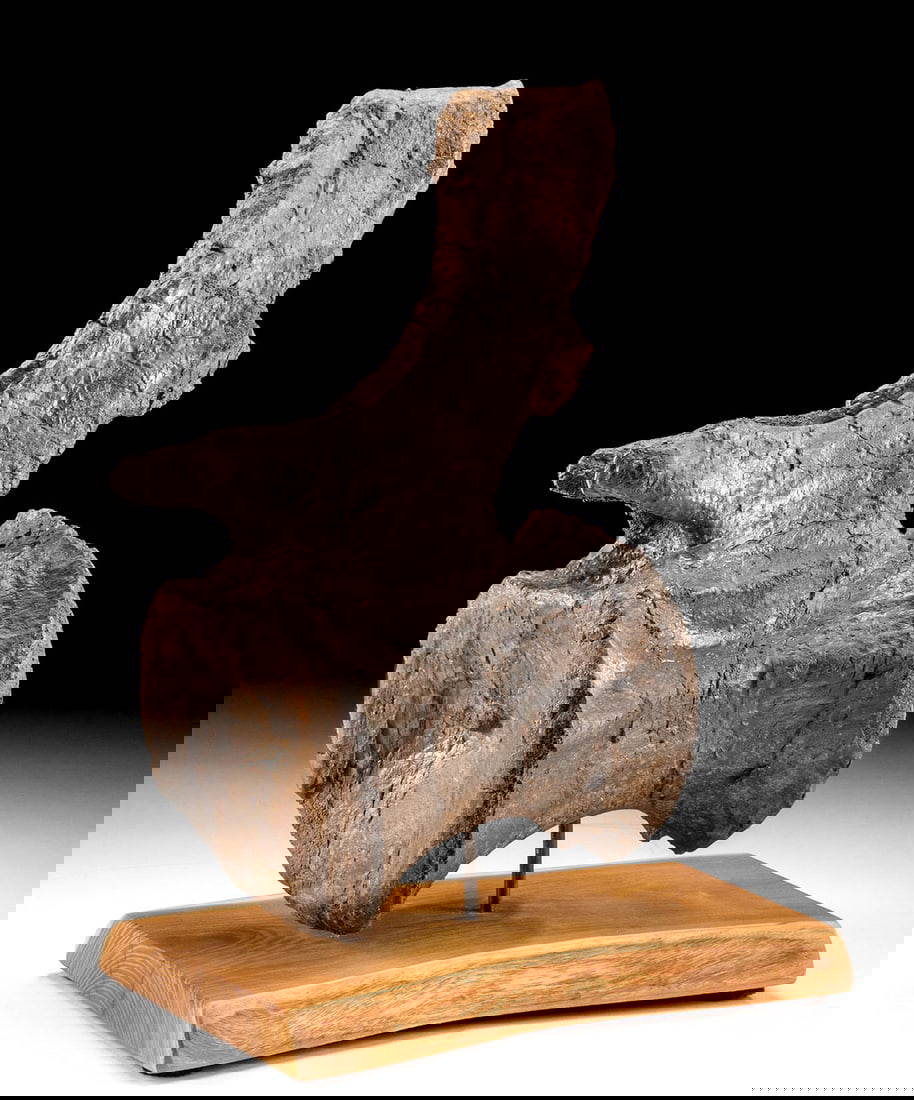 Collectible Rocks, Minerals & Fossils for Sale in Online Auctions - Page 5