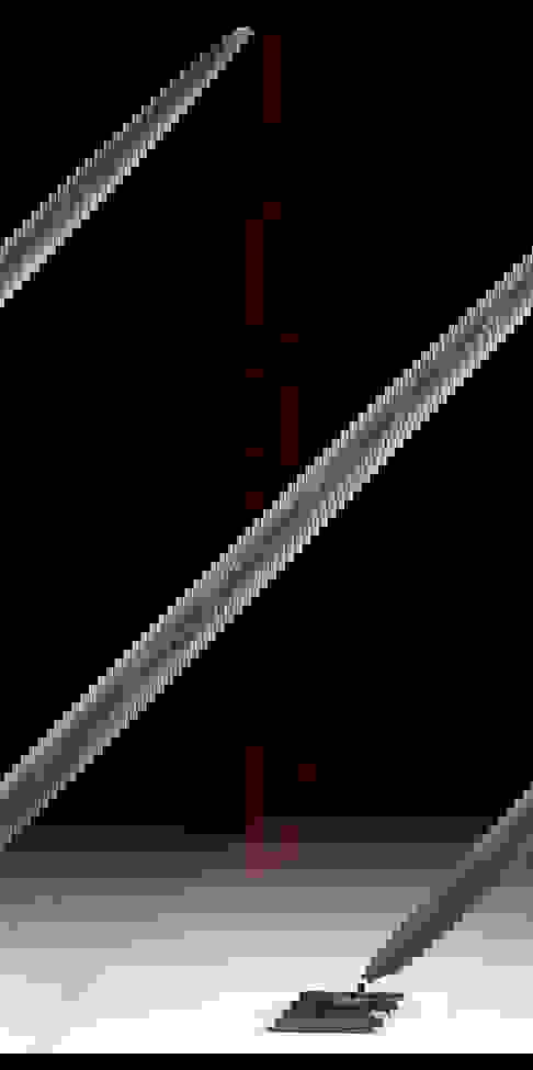 20th C. Aboriginal Wood Tjurunga Auction