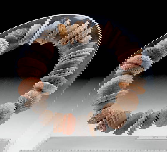 Circle Of Colima & Aztec Pottery Spindle Whorls