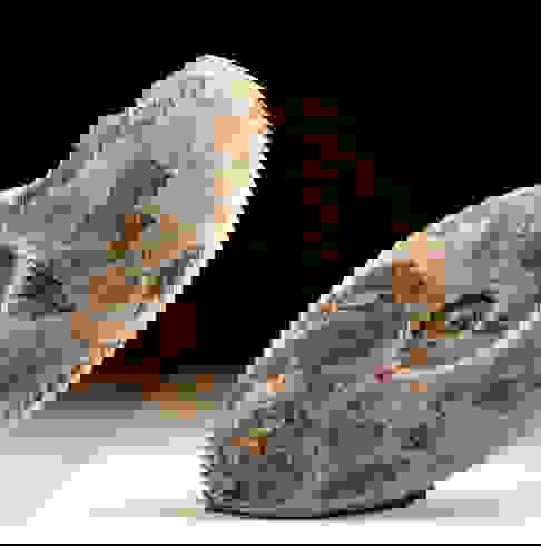 Large Fossilized Ammonite Shell W/ Sutures Auction