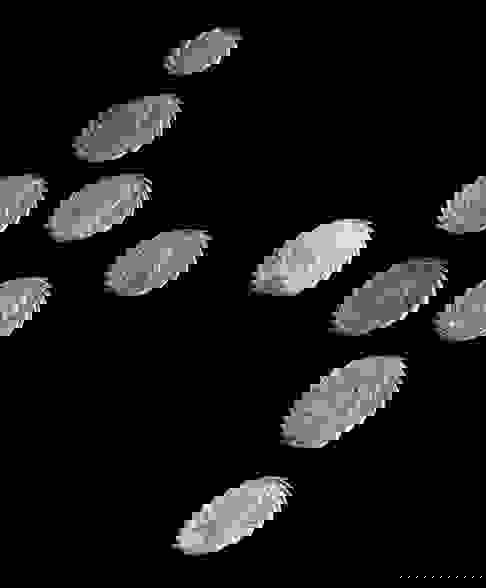 Ten Roman Copper & Bronze Coins Auction