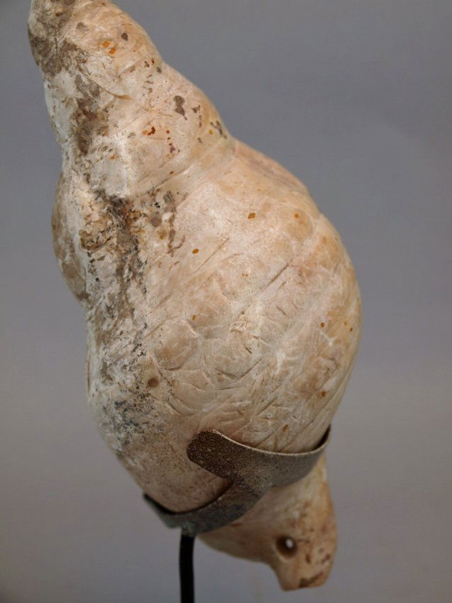 168A: A Rare Carved Mayan Conch Shell : Lot 168A
