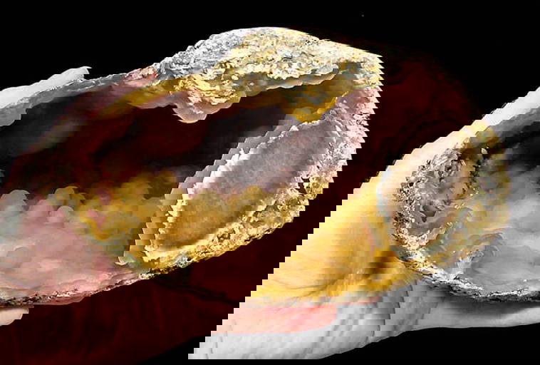 Choice Florida Agatized Coral Geode & Botryoidal Cavity