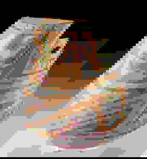 Rare Casas Grandes Ramos Polychrome Pottery Effigy Jar Auction