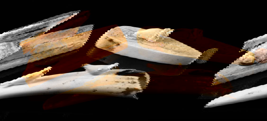 3 Inuit Walrus Ivory Sculptures Of Seals