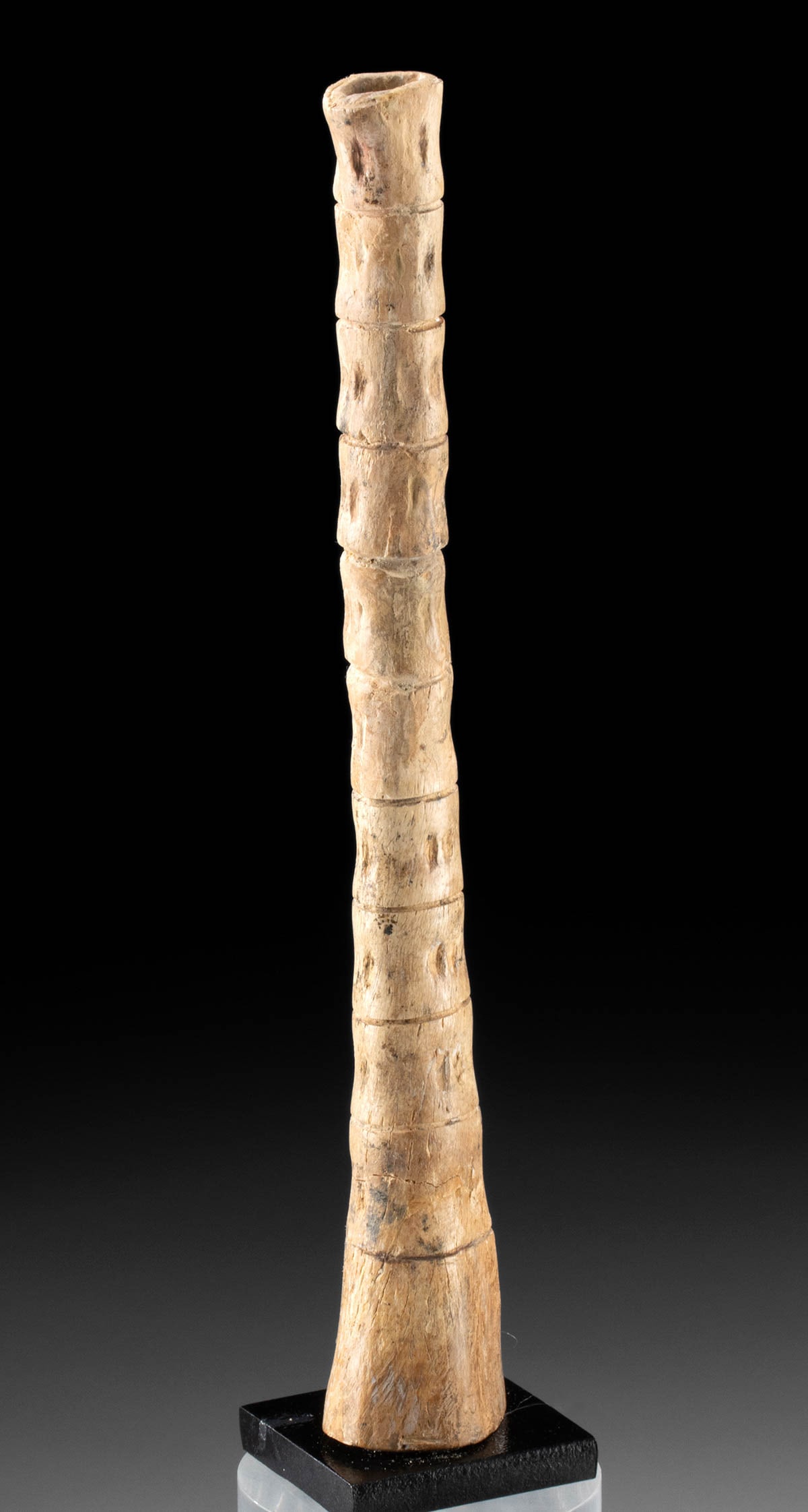 Buy Rare Chavin Carved Bone Snuff Tube (hallucinogens) | Artemis ...