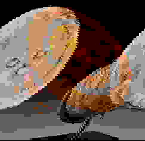 Chimu Wood Ear Spool W / Feather Mask Auction