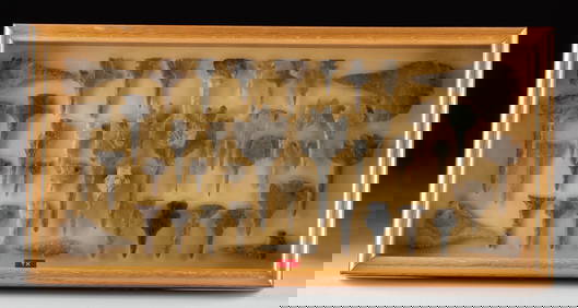 10 Native American Stone Tools