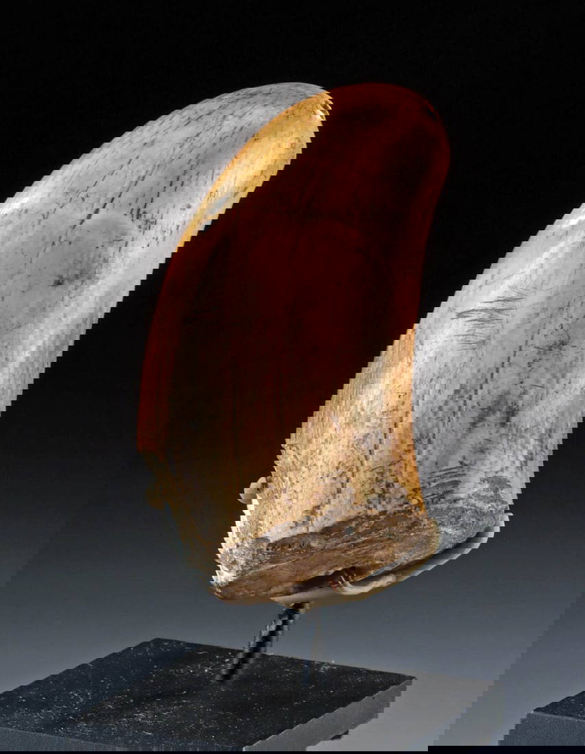 19th C. Fijian Whale Tooth Pendant - Tabua Auction